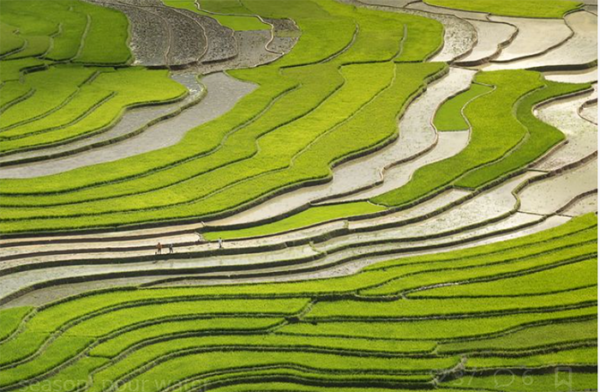 Understanding the Importance of Cleaning Your Irrigation Filter Based ...